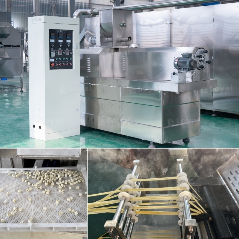 Fried Snack Production Line: Revolutionize Your Snack Business