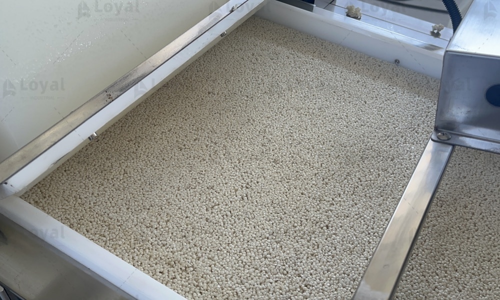 Protein Bar Production Line: Protein Bar Manufacturing