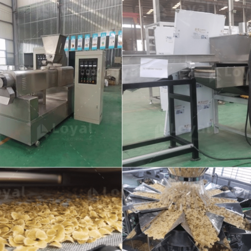 Corn Puff Snacks Production Line - Loyal
