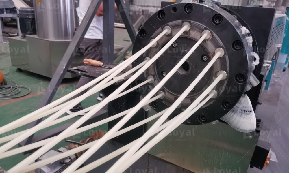 2D 3D Snacks Pellet Process Line - Loyal