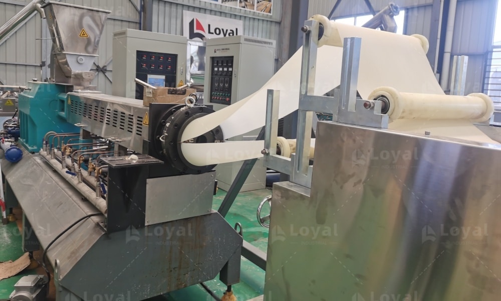 2D 3D Snacks Pellet Process Line - Loyal