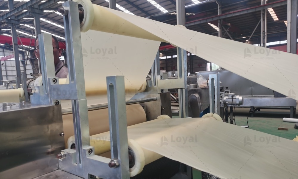 2D 3D Snacks Pellet Process Line - Loyal