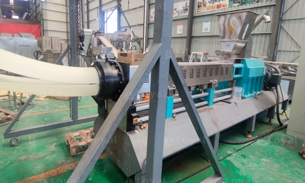 2D 3D Snacks Pellet Process Line - Loyal