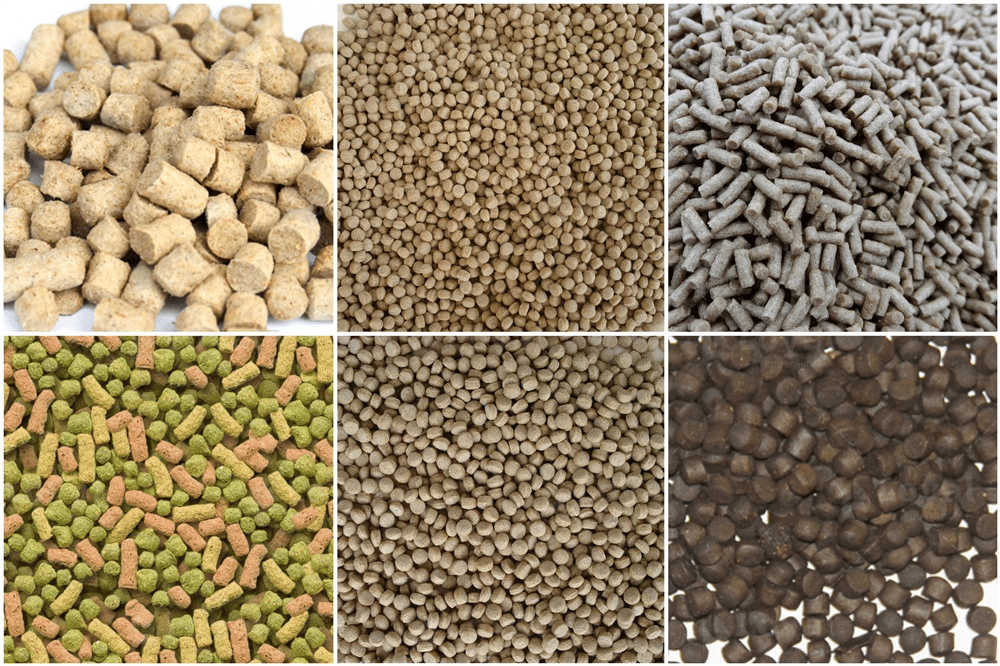 Pet Food Production Line - Loyal