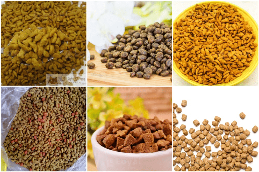 Pet Food Production Line - Loyal
