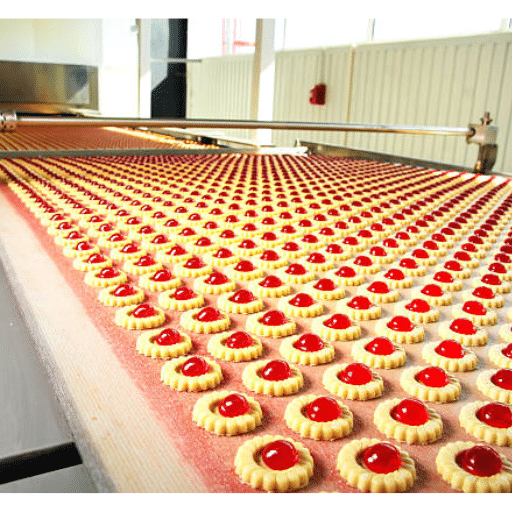 Fabrication Biscuit: The Biscuit Manufacturing Process