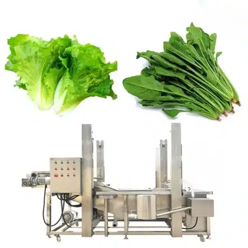 Vegetable Washing & Packaging Line Setup