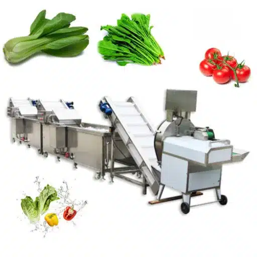 Vegetable Washing & Packaging Line Setup