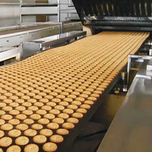 Biscuit Production Line: A Comprehensive Guide to Biscuit Manufacturing ...
